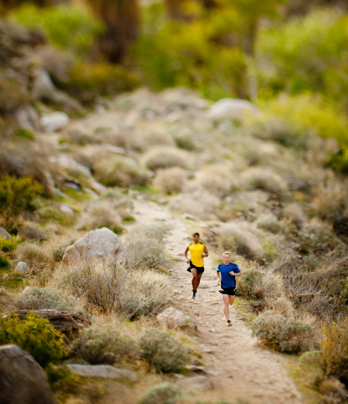 Desert Trail Running | Chase Jarvis